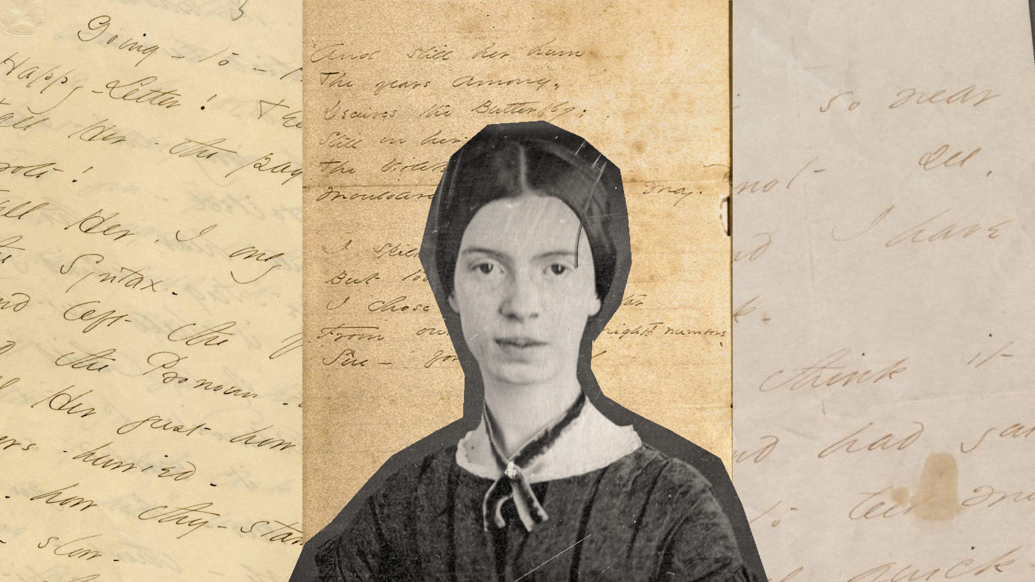 queer literature: the life and poetry of emily dickinson