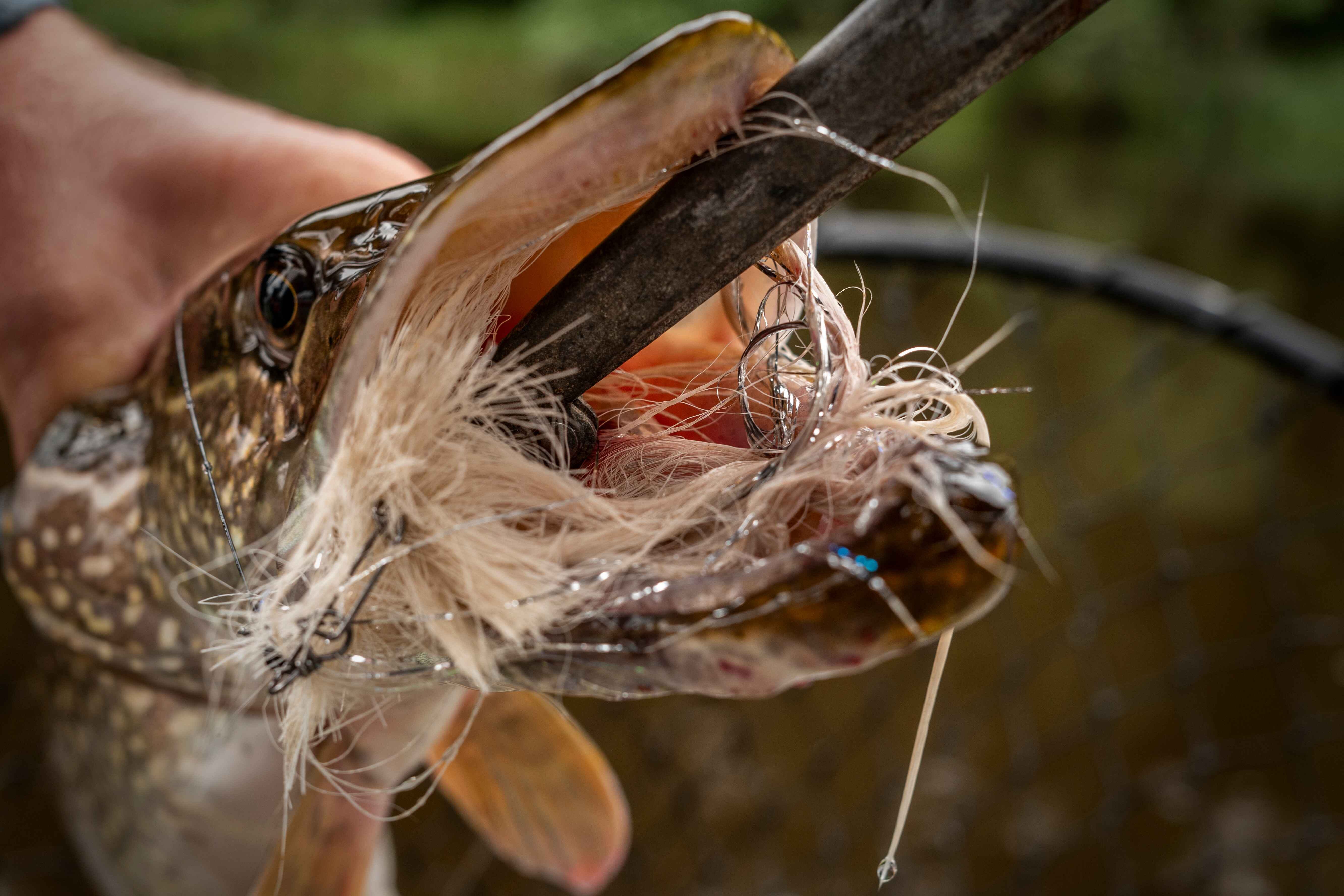 AT News: Remembering Jim Murphy, Minnesota’s Proposed Copper Mine, G ...