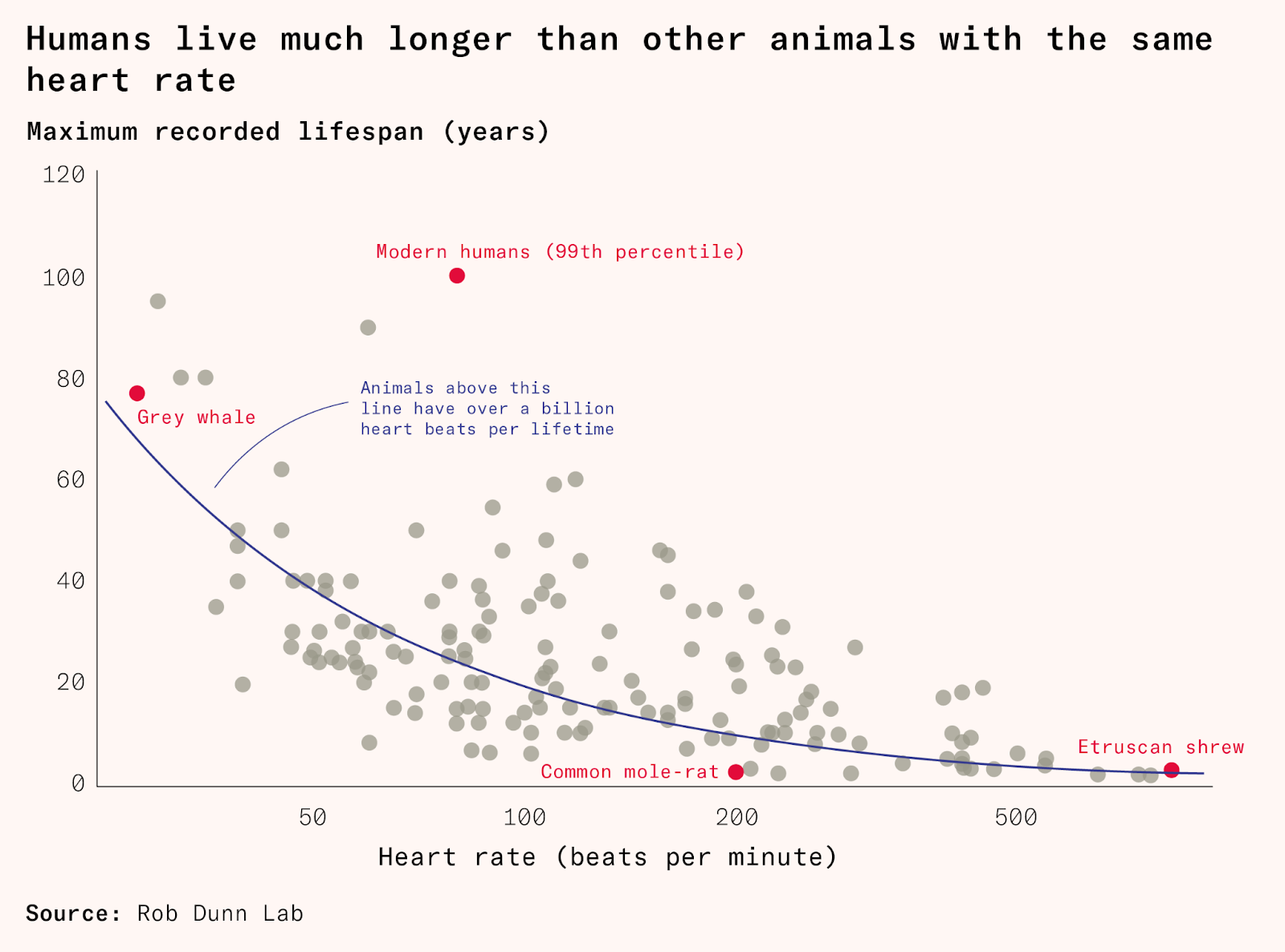 Learning about longevity from long-lived animals