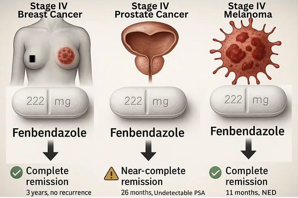 Fenbendazole Can Cure Cancer | Ben Fen | Substack