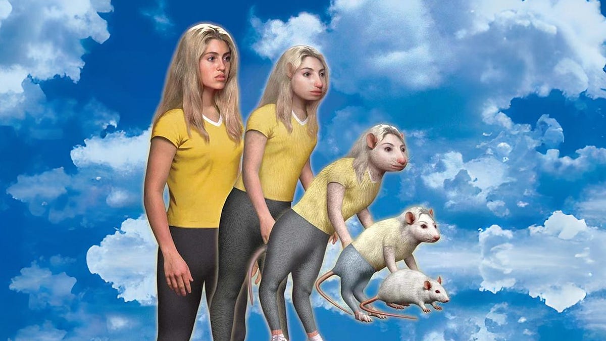 animorphs tiny aliens