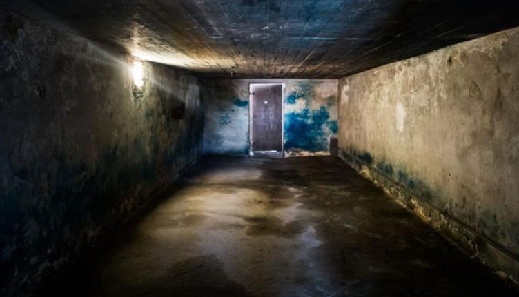 Remarkable Holocaust Nonsense #85: Spending the Night in a Gas Chamber ...