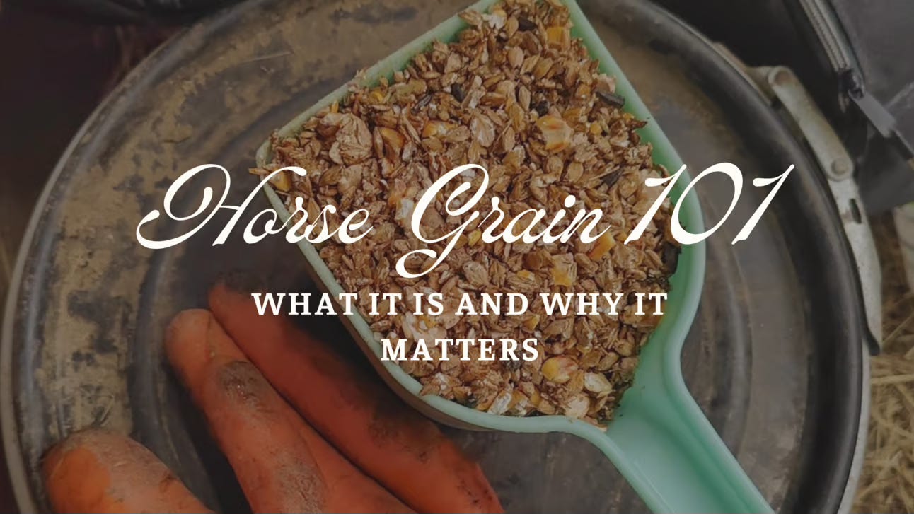 Horse Grain 101: What It Is and Why It Matters