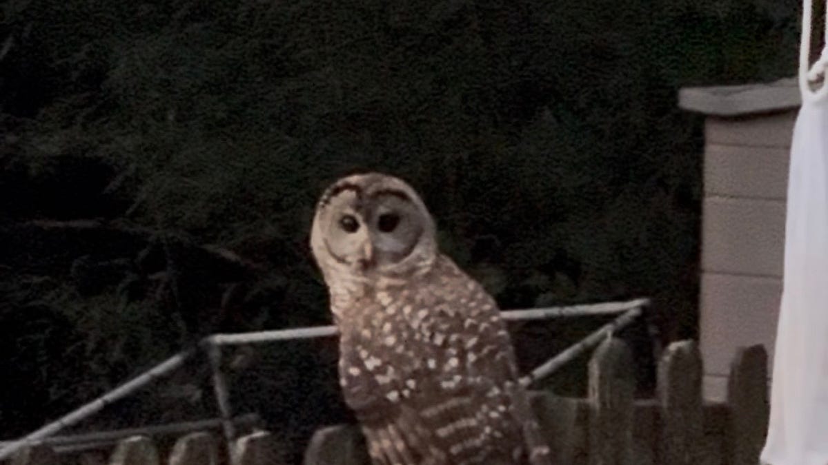 Comments - The Universe is Listening