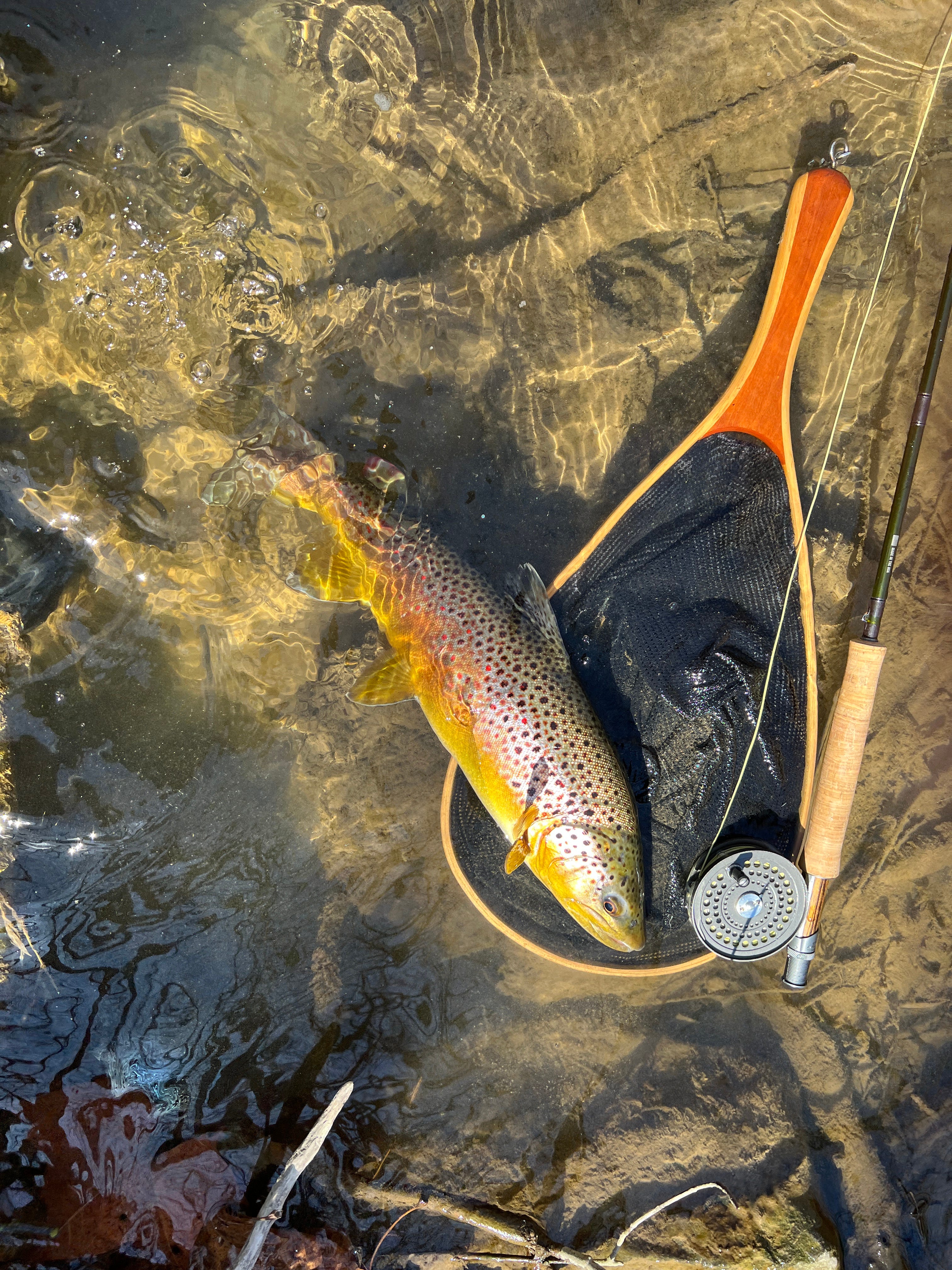 Fly Rods - by CosmicJohn - Box of Rain