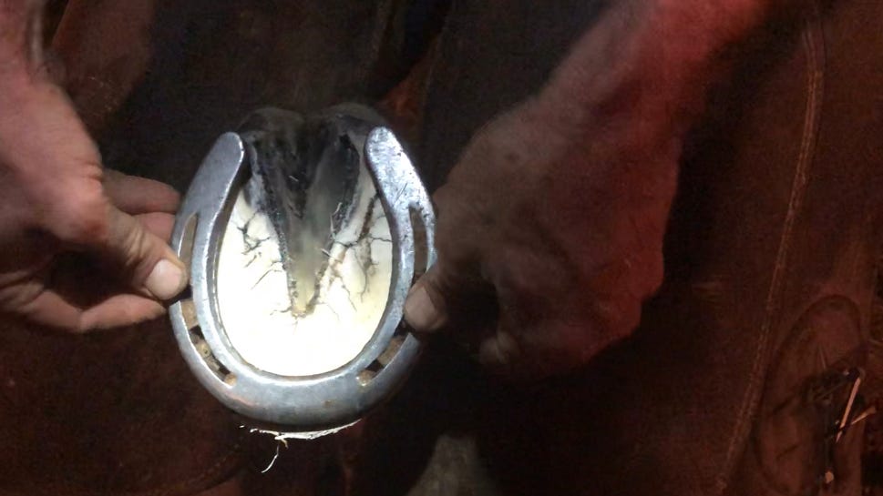 St. Eloy Nation | Substack