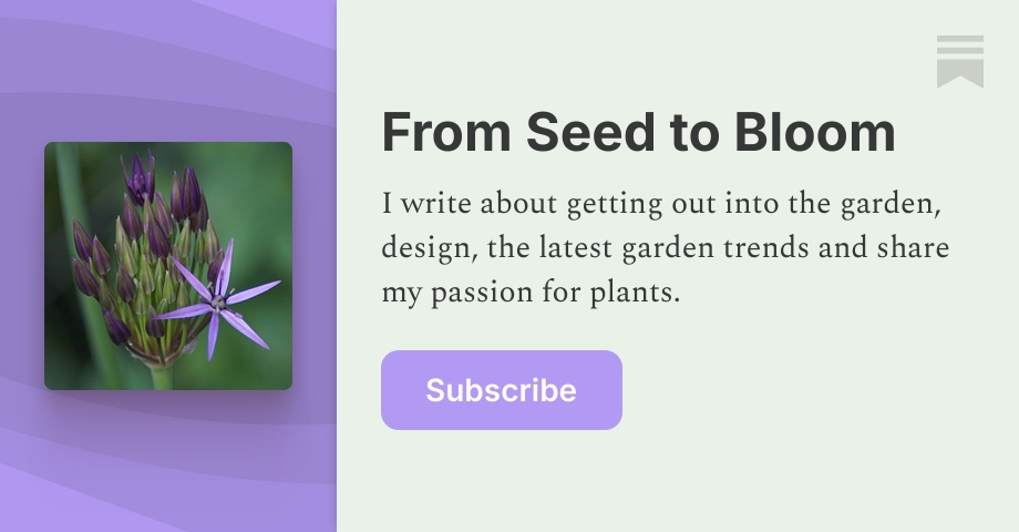 From Seed to Bloom | Camilla Grayley | Substack