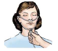 護理筆記系列 – 呼吸＆氧氣治療 - 薇布WeiBuh💉護理站