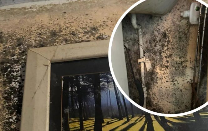 The Gloucestershire tenants living in fear in damp and mouldy homes
