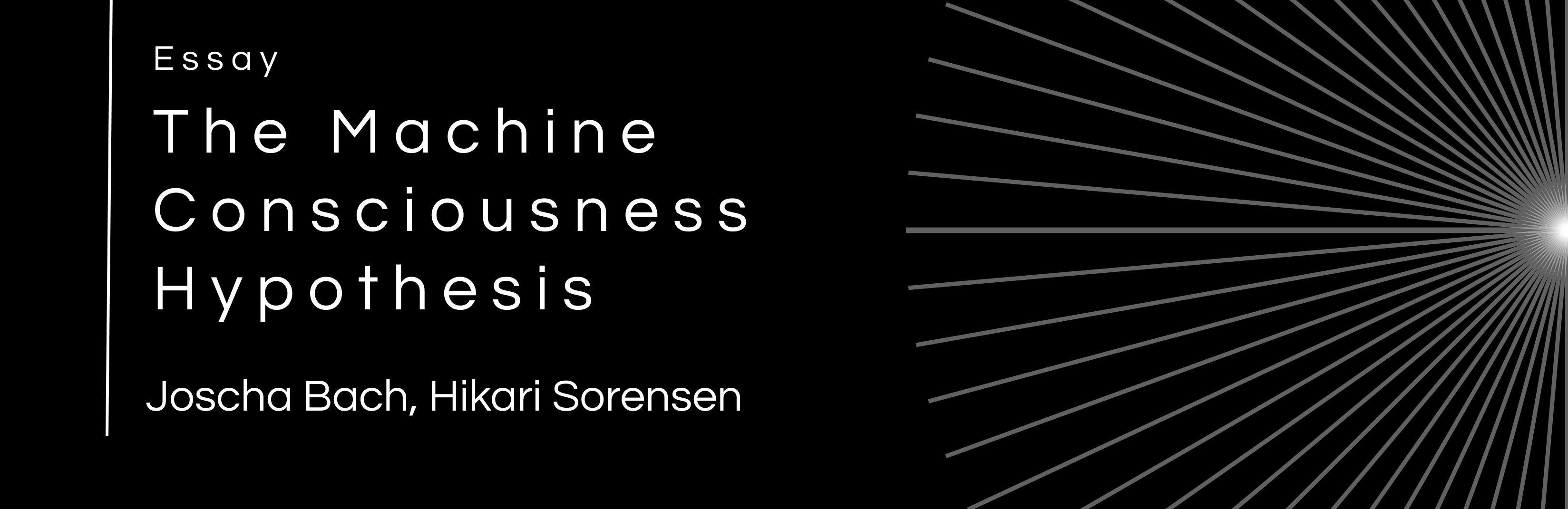 Essay: The Machine Consciousness Hypothesis