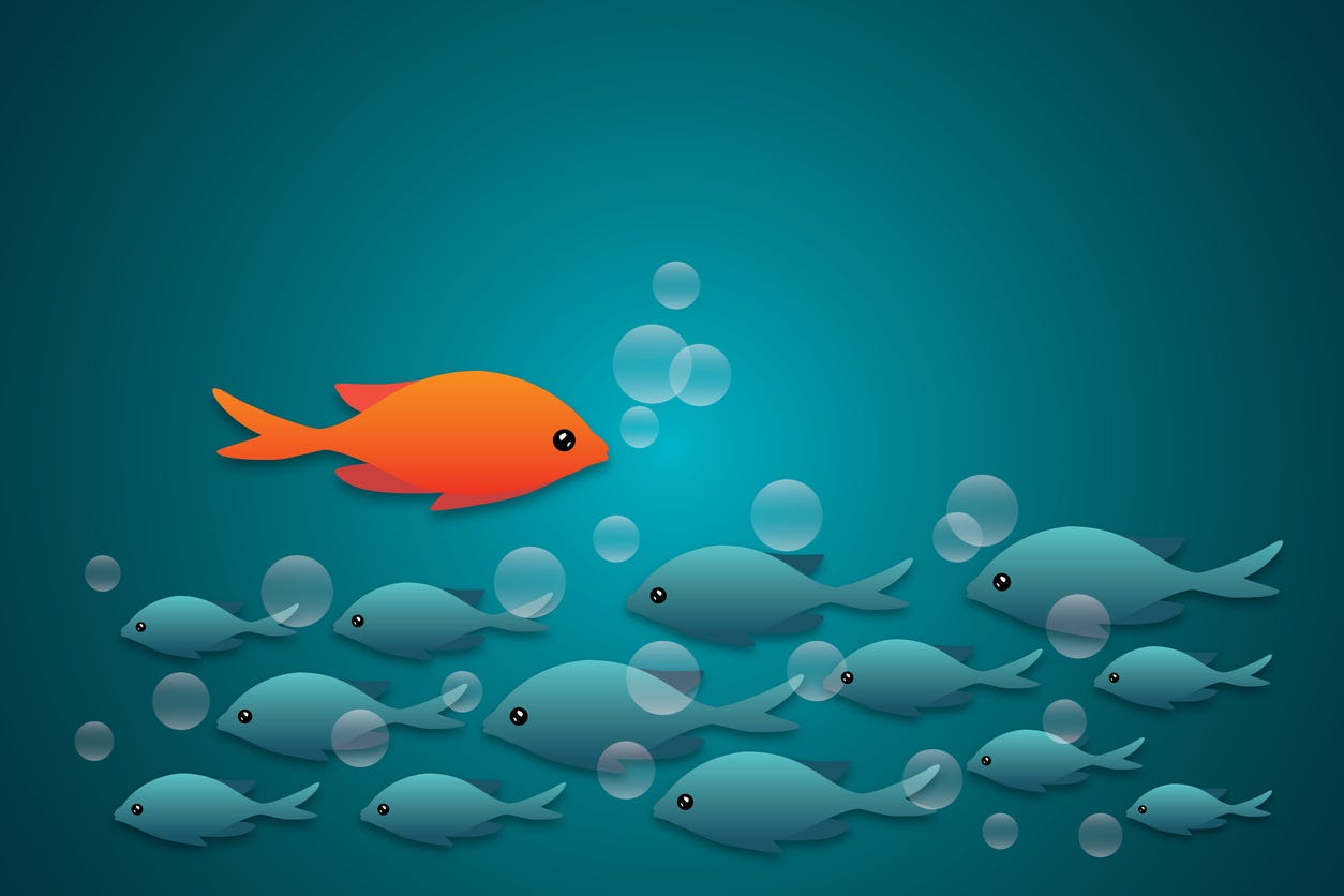 SWIMMING UPSTREAM - by Kevin Land Patrick