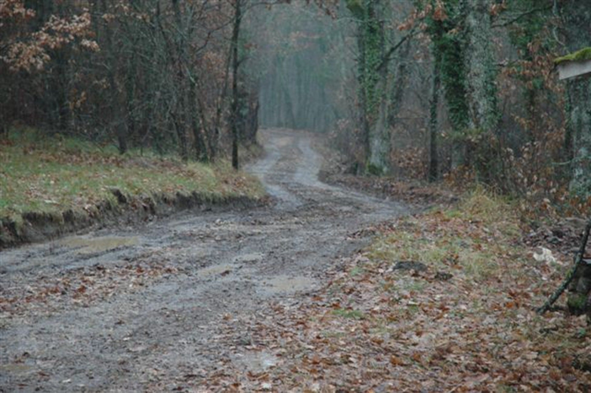 CRAVEN FOREST ch.16 - by Nicholas Waddington