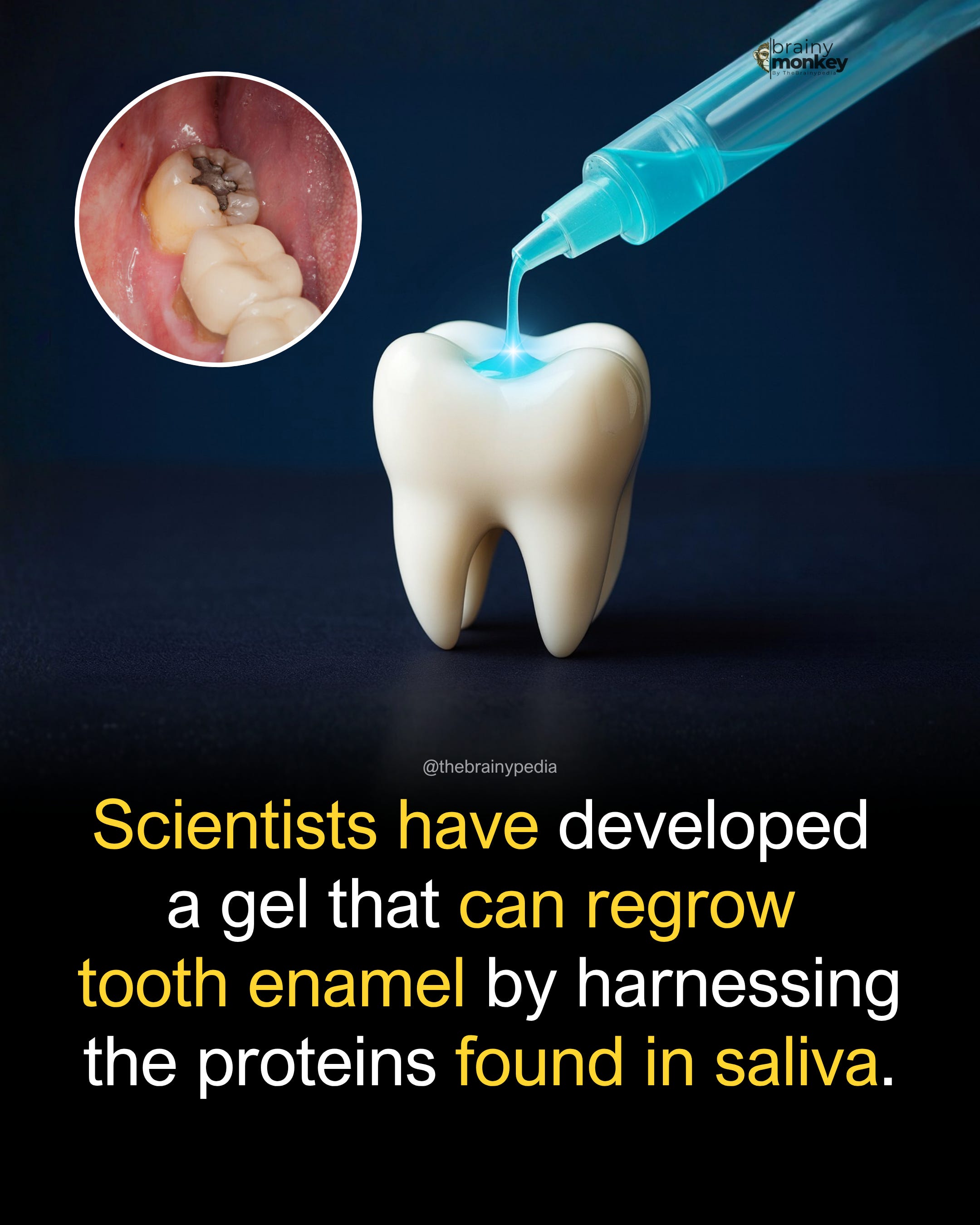 The Brainypedia (@thebrainypedia): "Scientists have developed a new gel ...