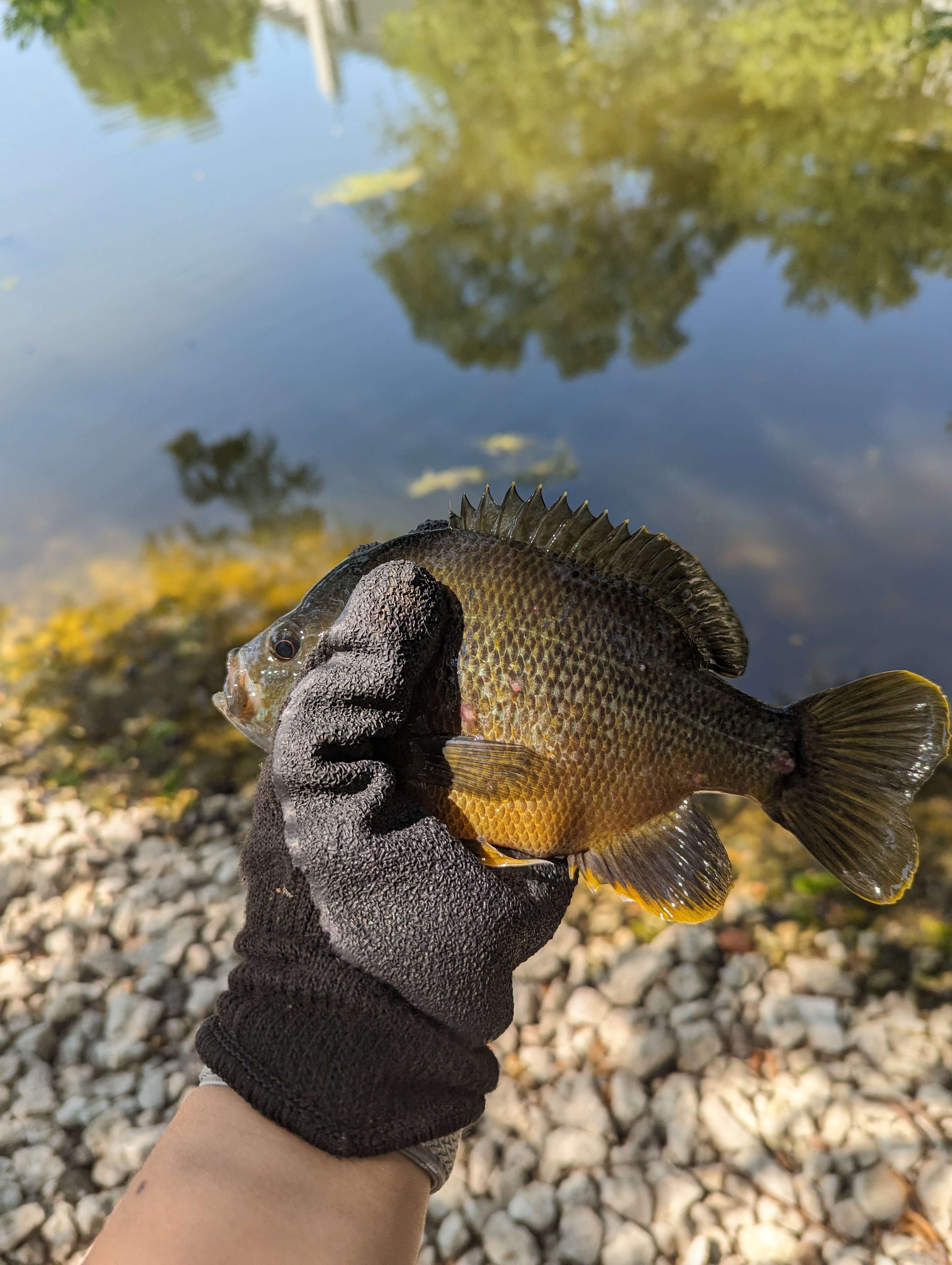 The Ultimate Beginner's Guide to Catching Your First Fish in 2025