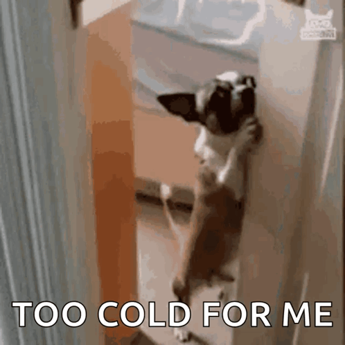 Continuous cold makes the snowpack stay – Justin Gehrts