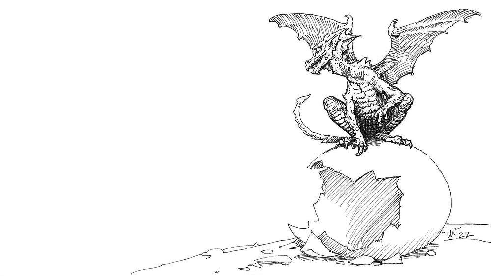 broken egg shell art