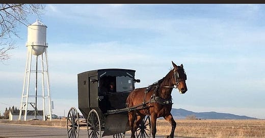 Steve Emig: The White Bear's Substack | Substack