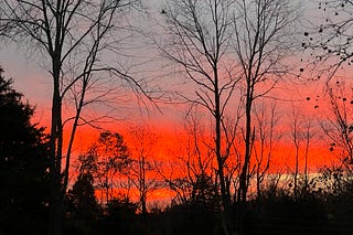 Malone News | Dr. Robert W. Malone | Substack