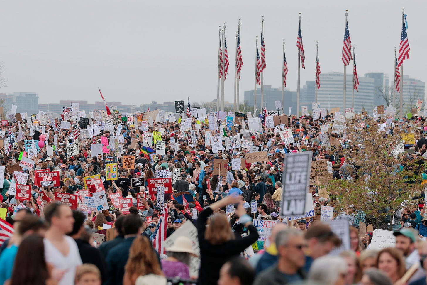 Massive Crowds Everywhere! And Everywhere You Look, You Will See The ...