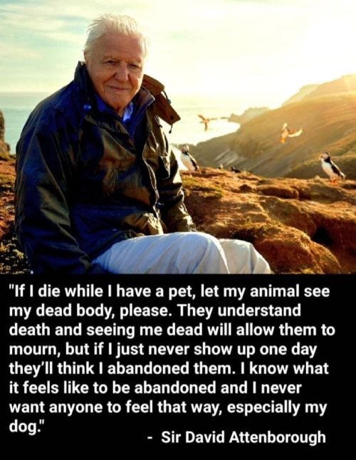 Uncle Noggie (@unclenoggie): "How about a moment to enjoy one of life’s ...