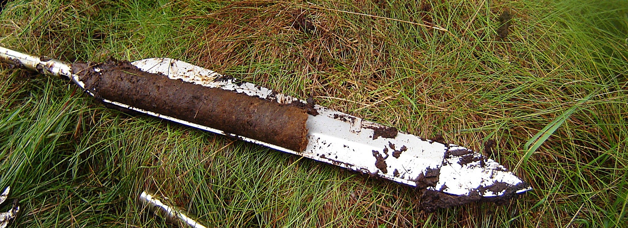 So, what is peat exactly? - by Lorna I. Harris PhD