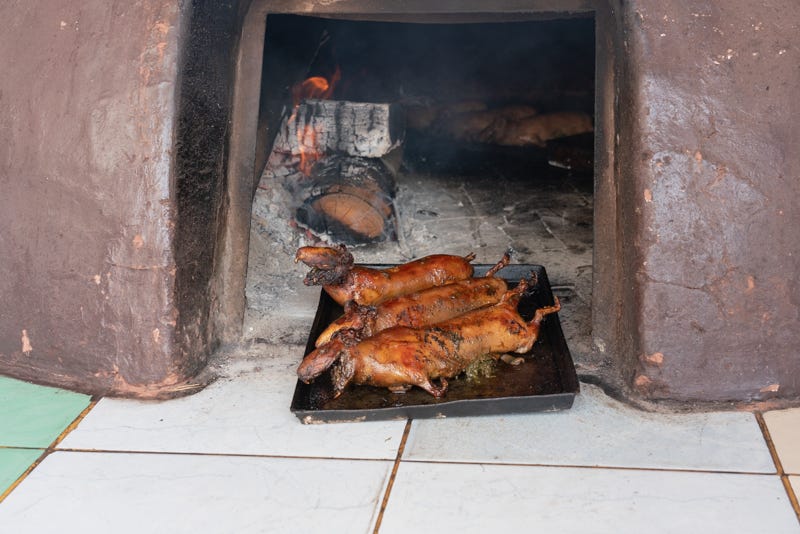 What does Peruvian Guinea Pig (Cuy) Tastes Like?