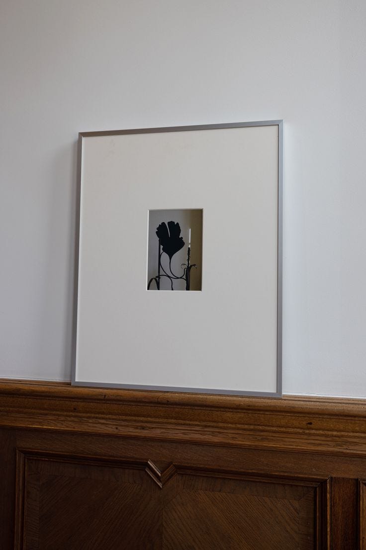 Everything You Need To Know About Framing