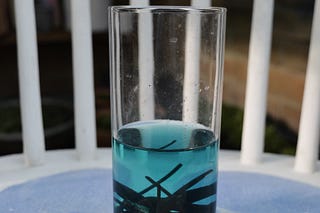 VivariumBR’s Substack | Tales Sabará | Substack