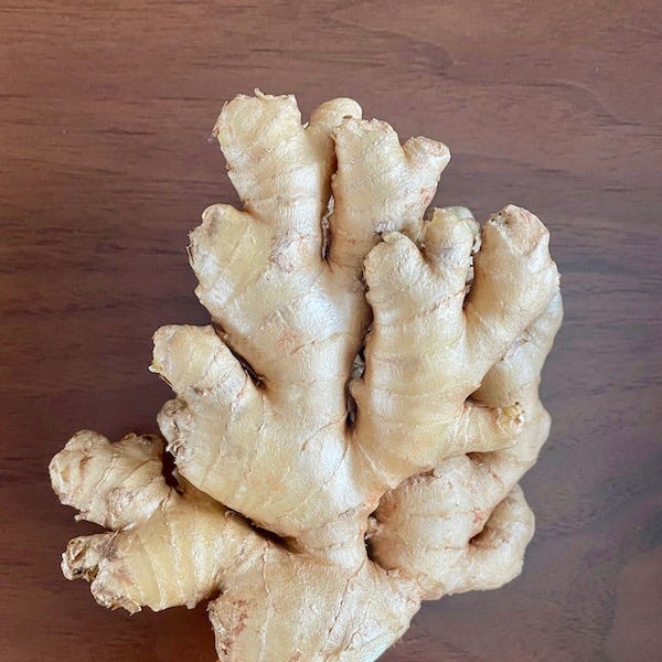ginger root media