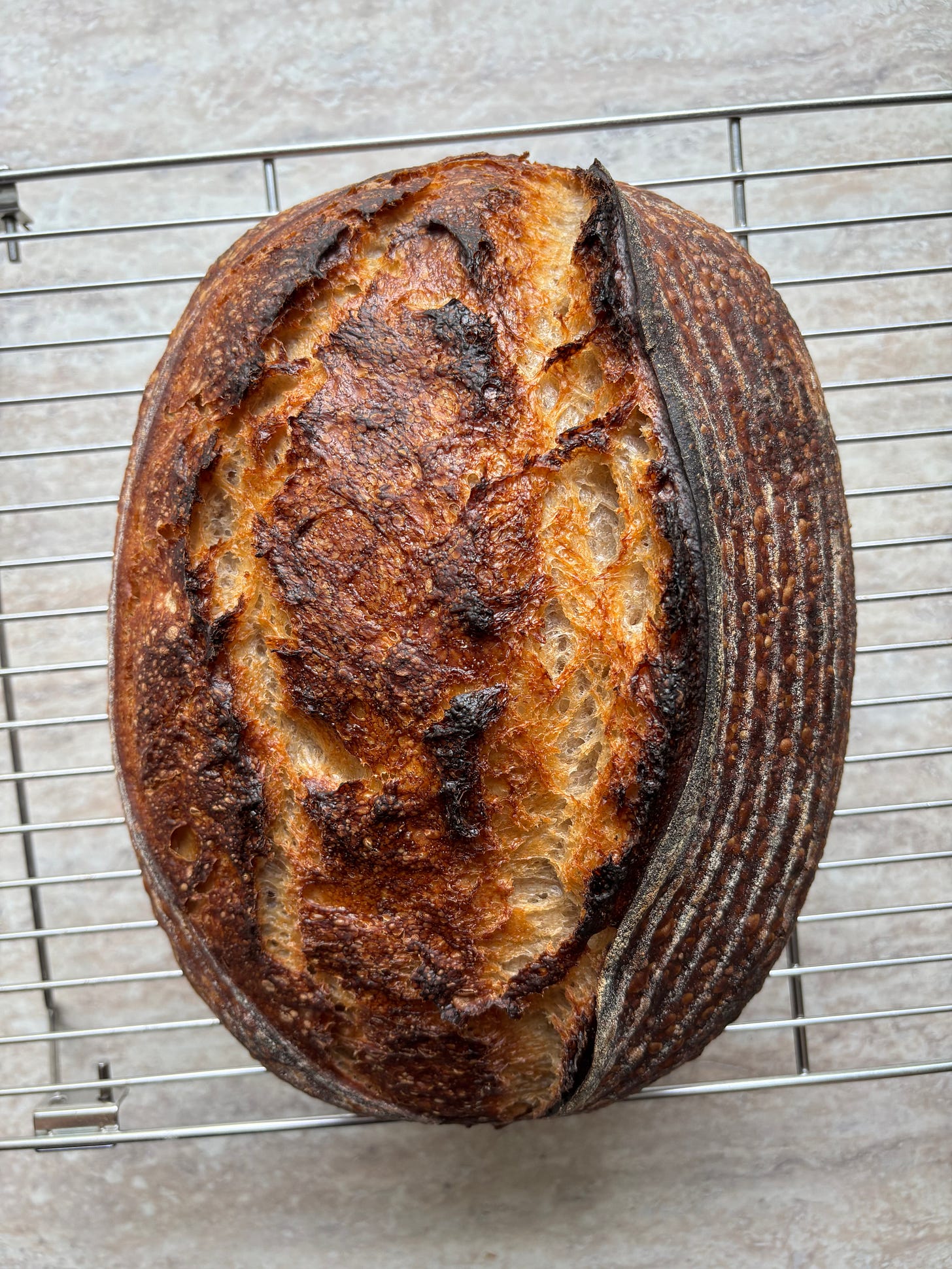 Sourdough Country Loaf - by Emilie Garnes