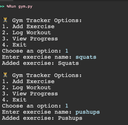 Build a Gym Workout Tracker with Python - by Ardit Sulce