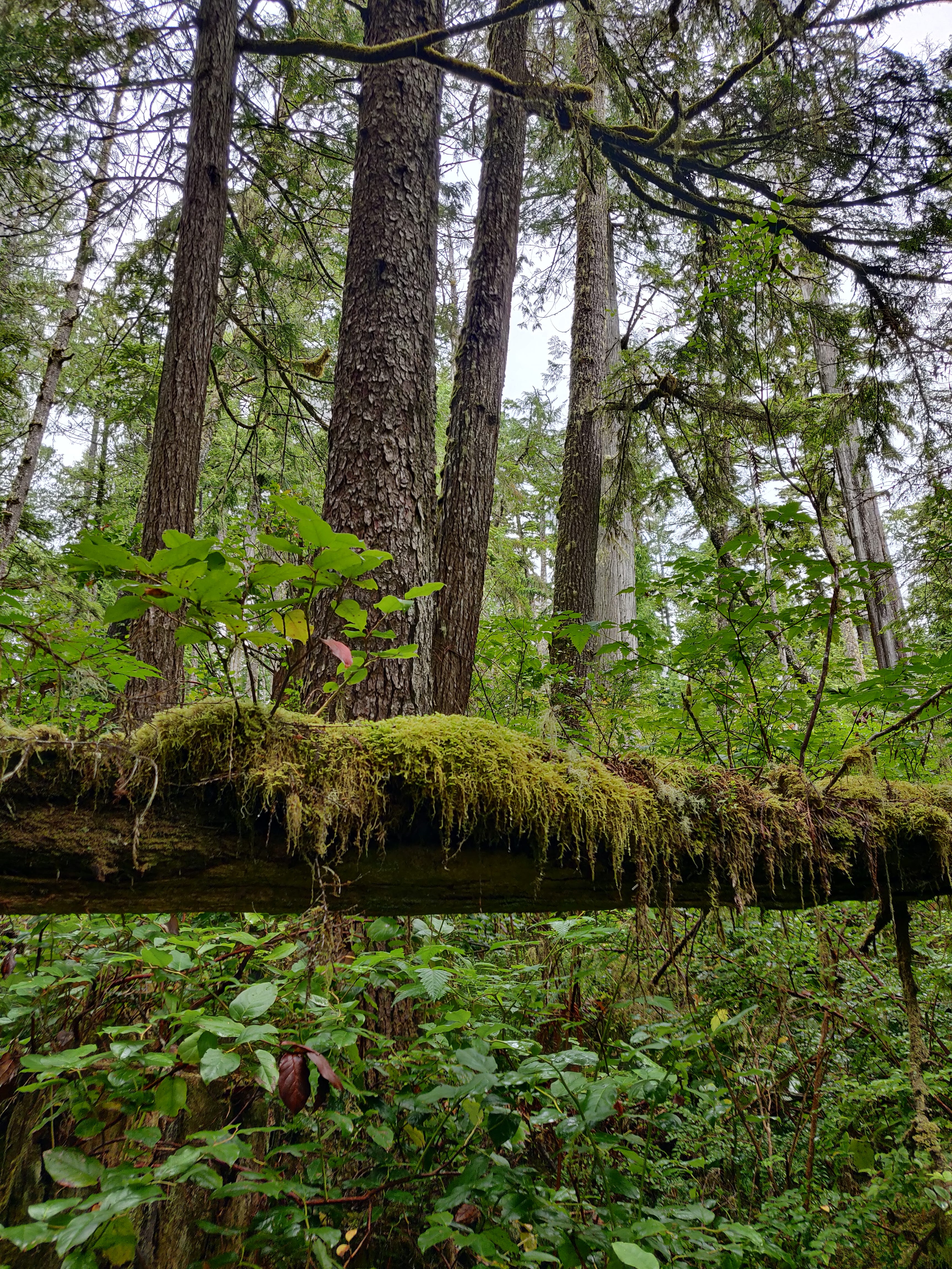 Processing - by All the Little Things - Ruby’s Substack