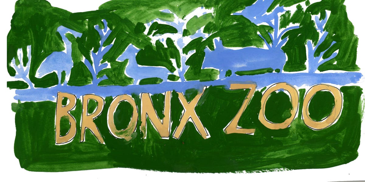 Bronx Zoo - by Elizabeth Graeber - ELIZABETH DRAWS