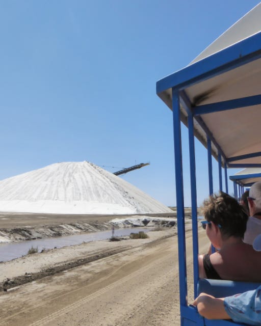 All Aboard the Salt Train - by Globetrottingwithp