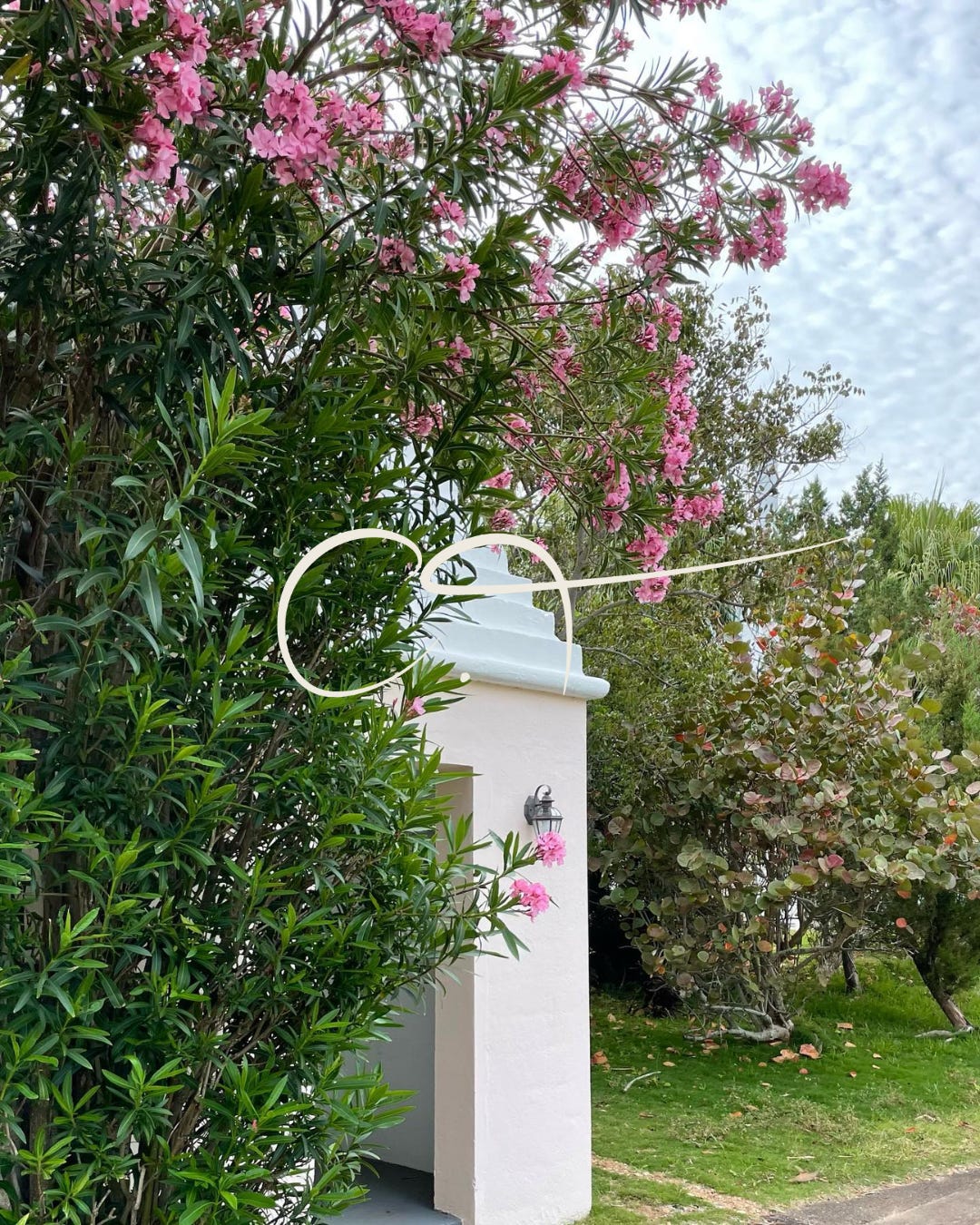 My Holiday Gift Guide with The Loren