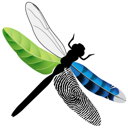 Snowy Owls in Decline - by Bryan Pfeiffer - Chasing Nature