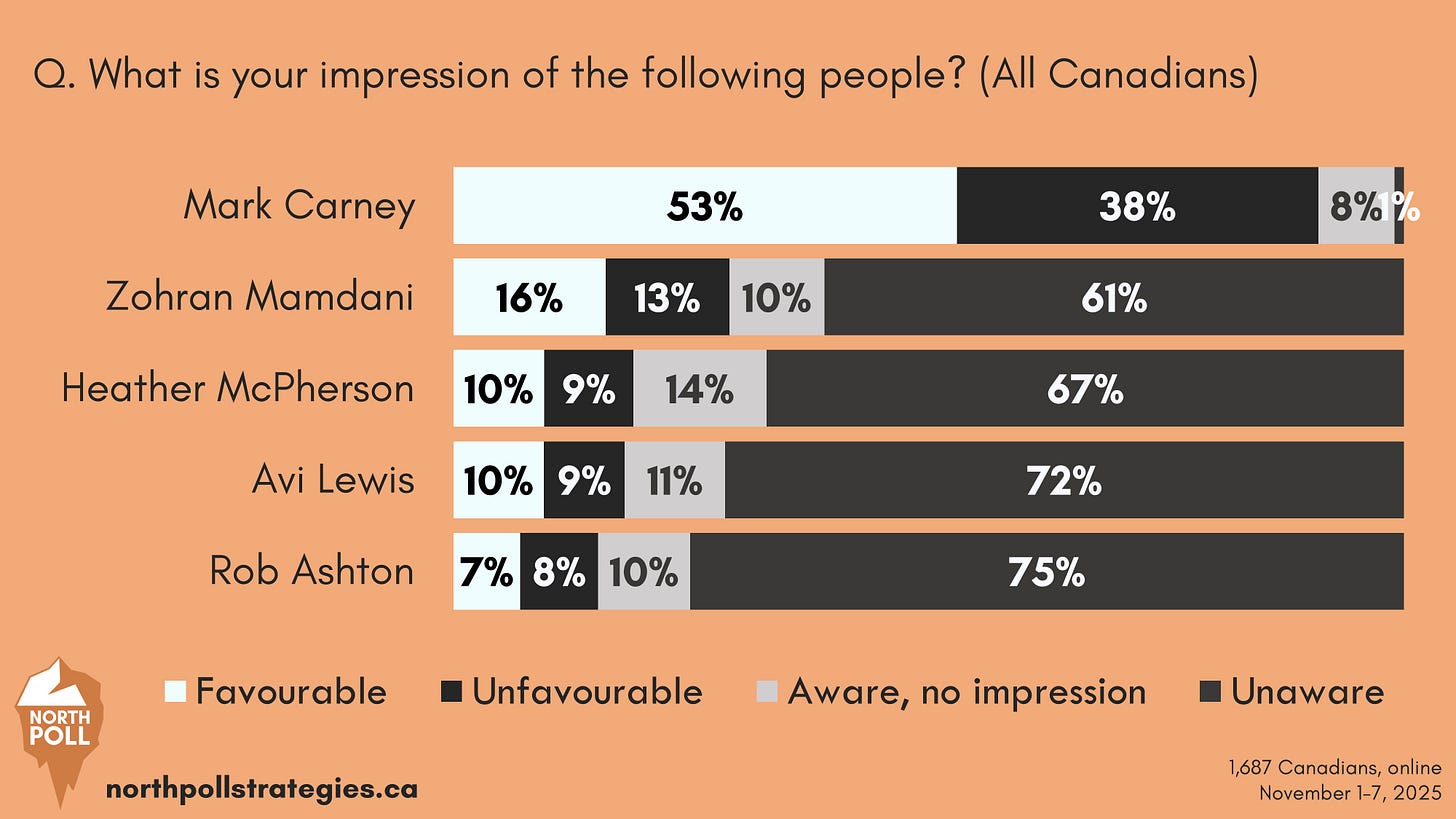 Polling the NDP Leadership Race: Vote Choice, Purity Tests, Palestine ...