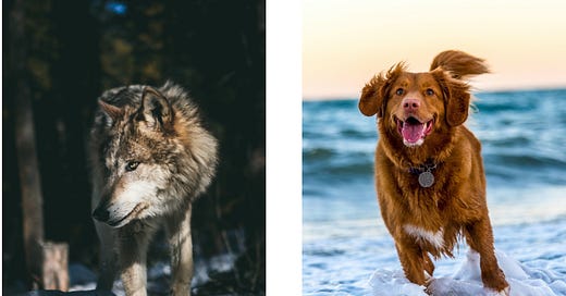 Hot Takes | Adam Singer | Substack