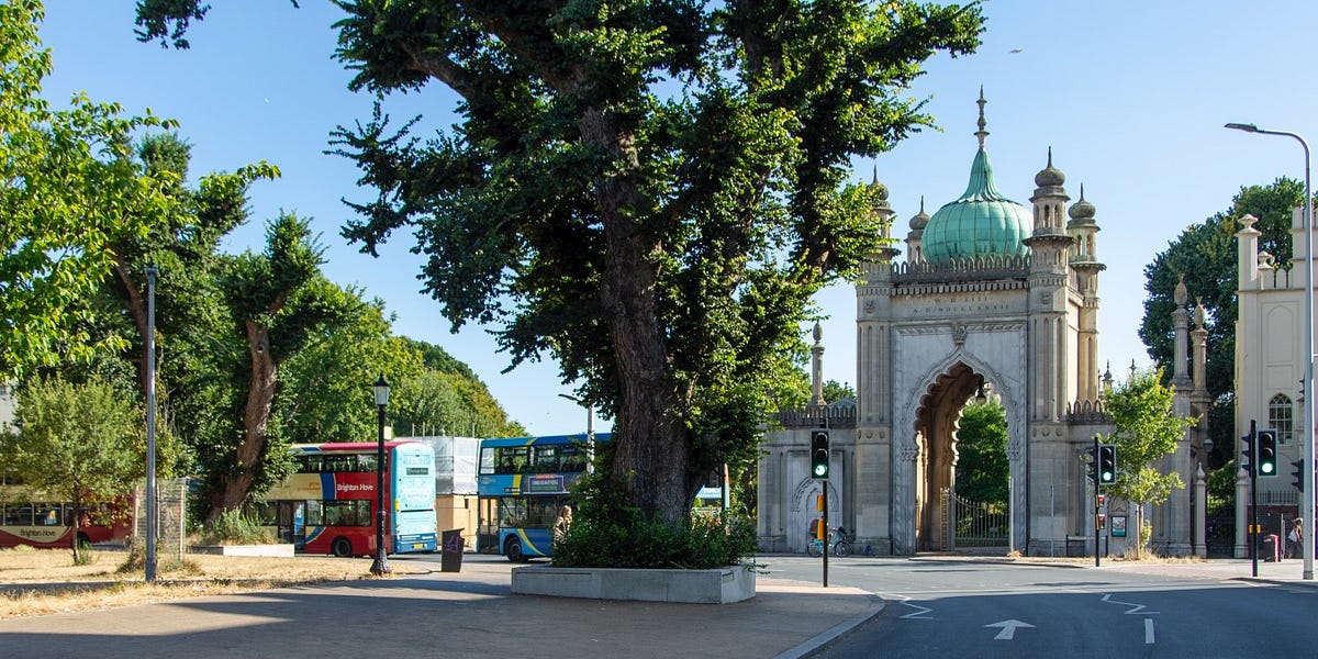Long Reads: Special Trees of Brighton and Hove