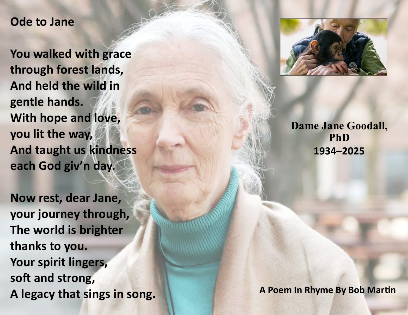 RIP Dame Jane Goodall - by Bob Martin