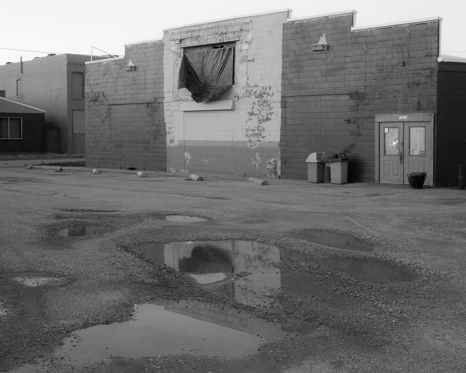 Artist Feature #22 - by Nicholas Talerico and Noah Waldeck