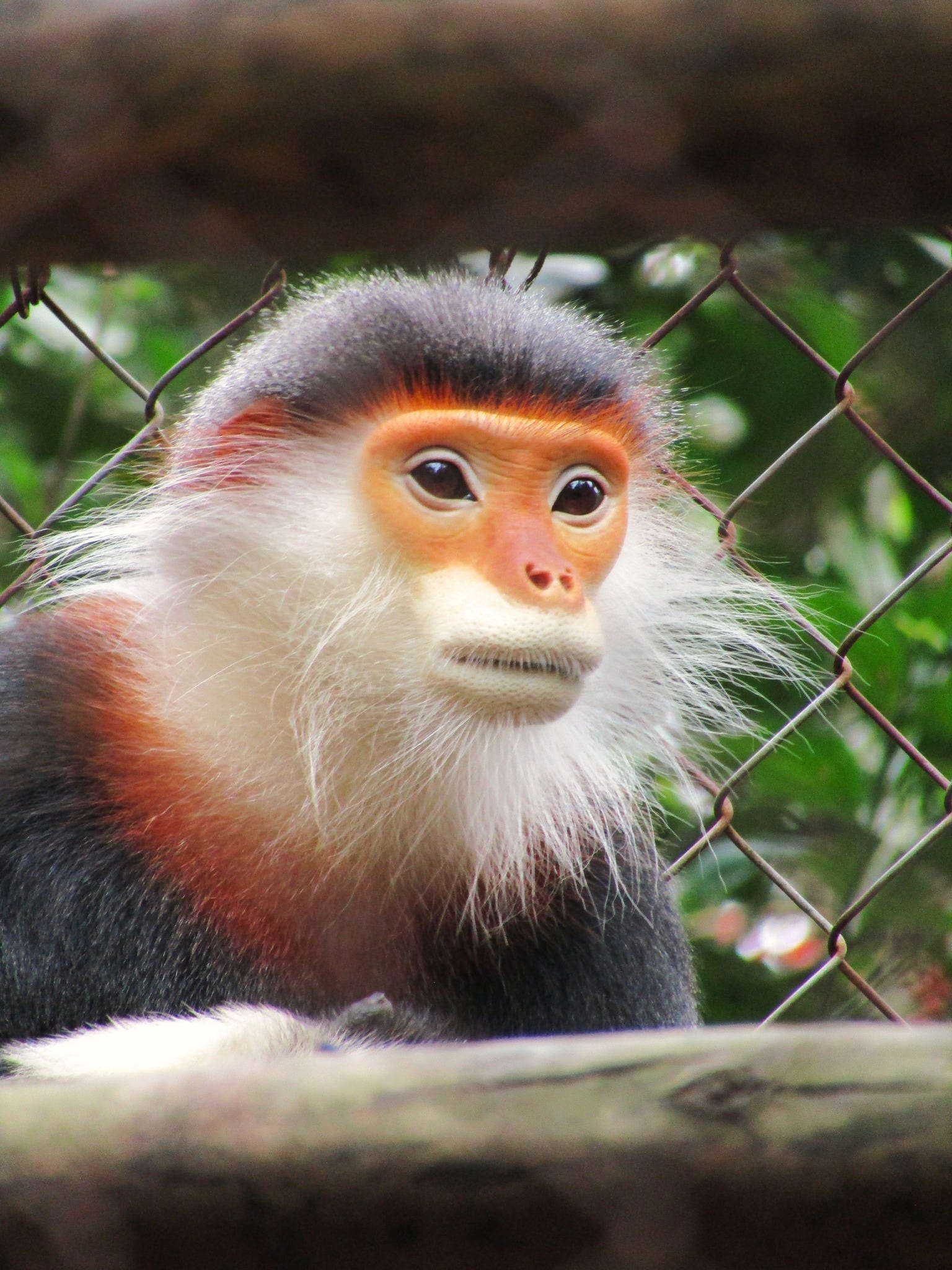 The Very Best of 2025 - by Jules Torti