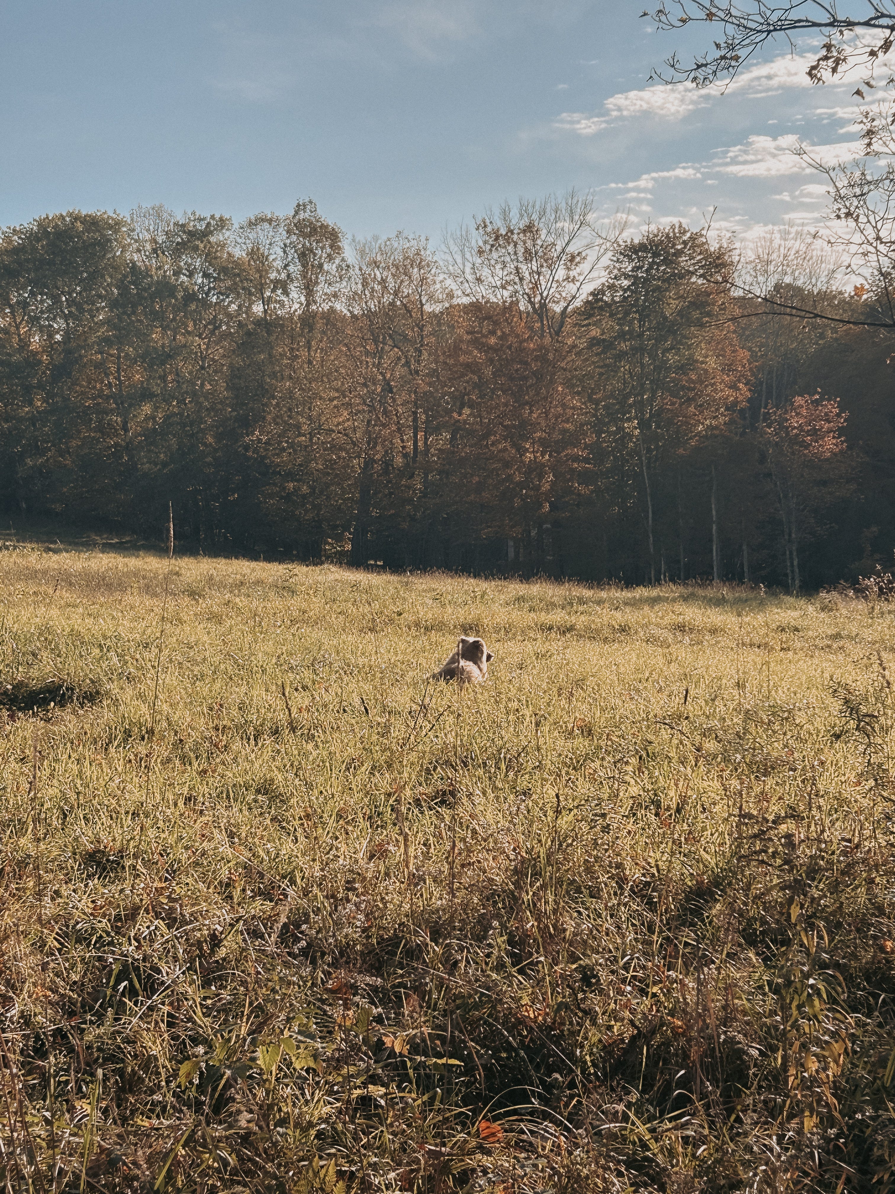 Leaving Noise for the Middle of Nowhere - by Dani Snyder