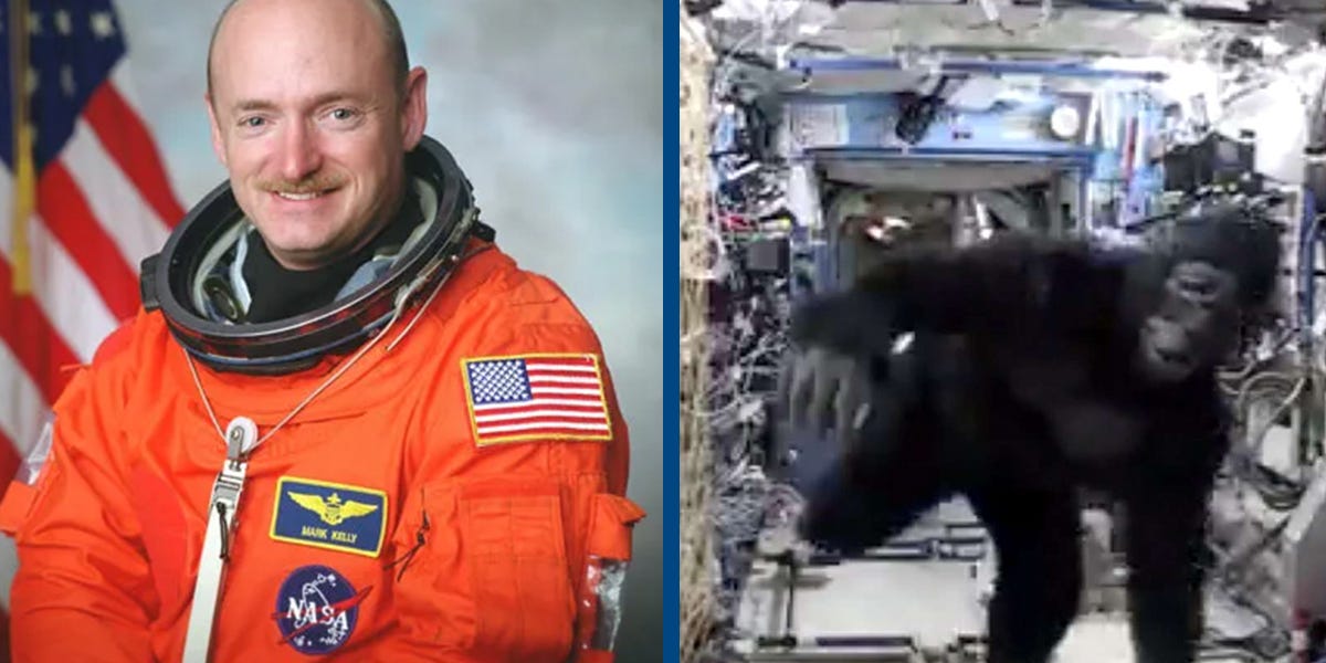 Mark Kelly is a Monkey - by Terence Mahoney