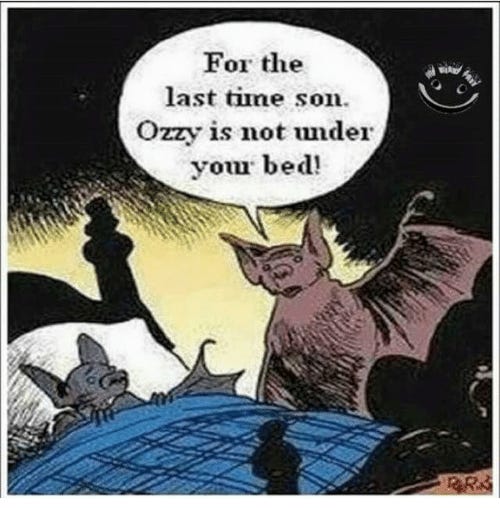 Melon Heads and the Curse on Salem Sheriffs