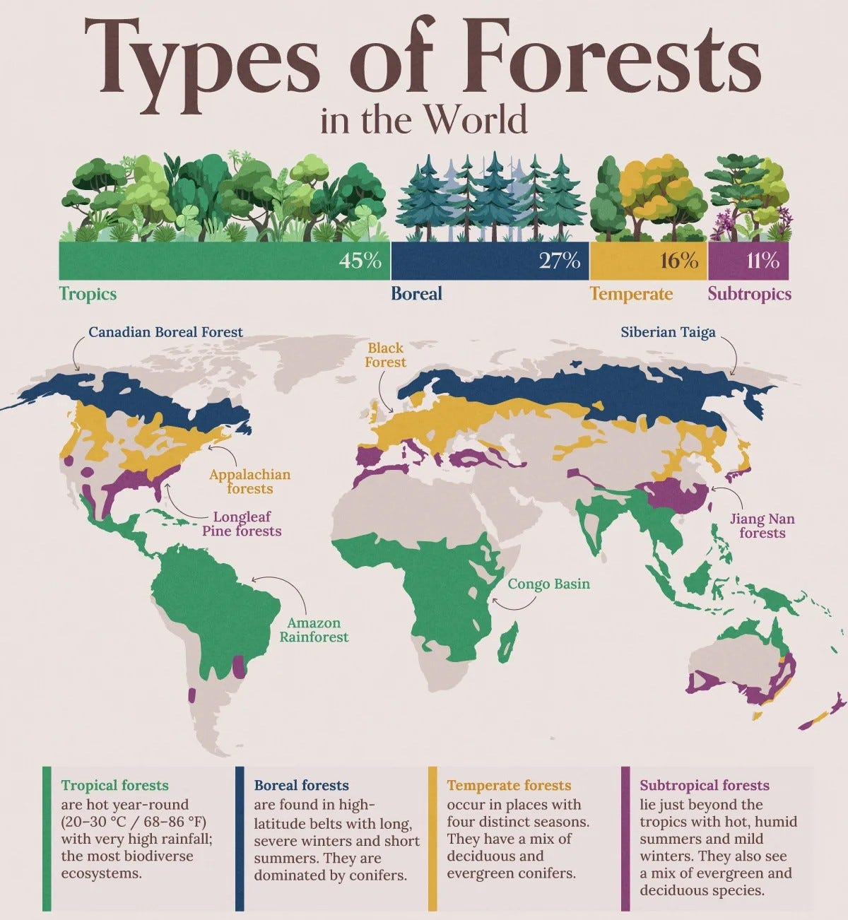 The Four Major Types of Forests Around the World