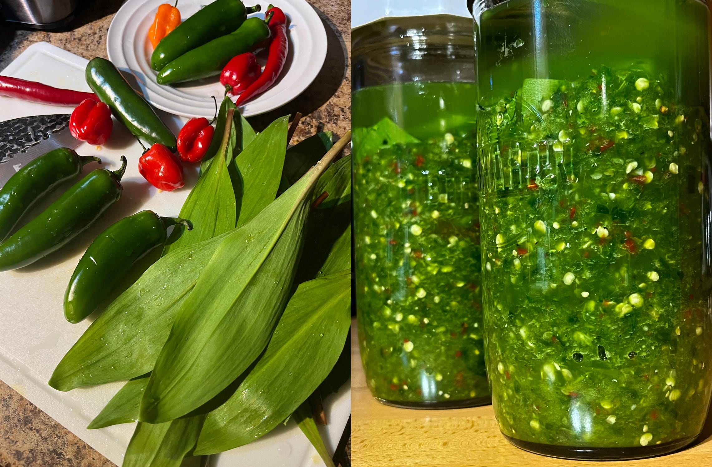 Raw Fermented Ramp Sriracha - by Gavin Mounsey