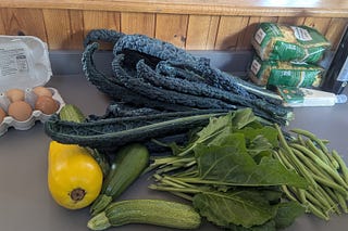 The Chaff | Moya Lothian-McLean | Substack