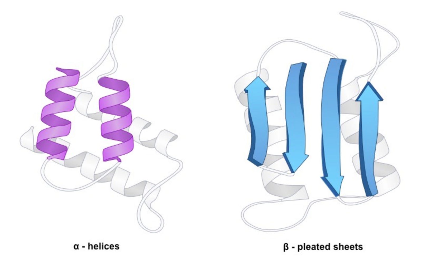 Unnatural Amino Acids - by Simon Barnett