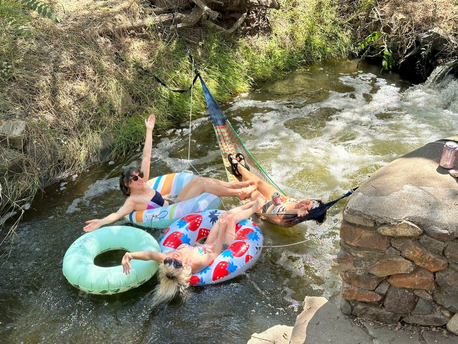 Case Study: Wild Seeds Ranch - by Nicole Reese